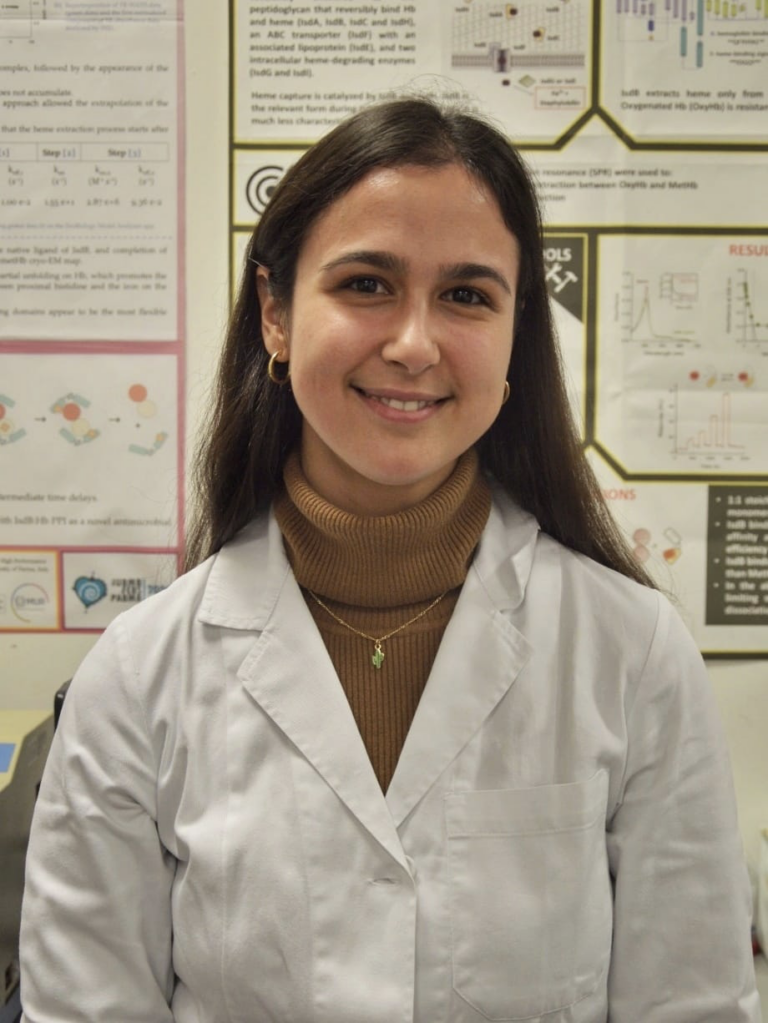 Monica Cozzi – Erase